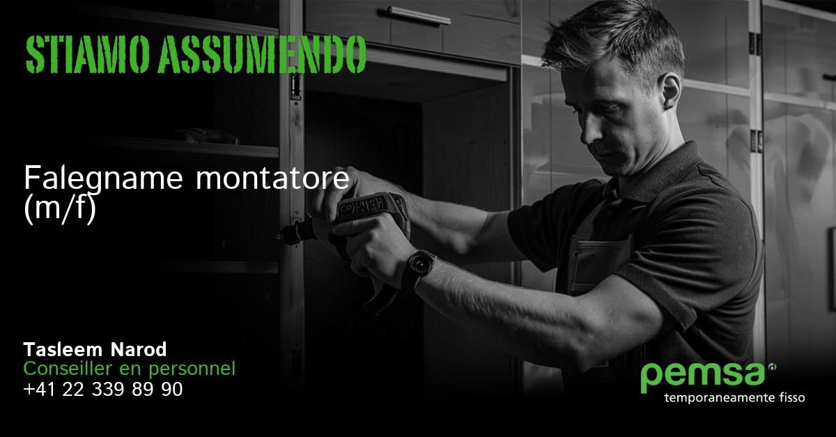 Offerte di lavoro - Falegname montatore (m/f) - Genève